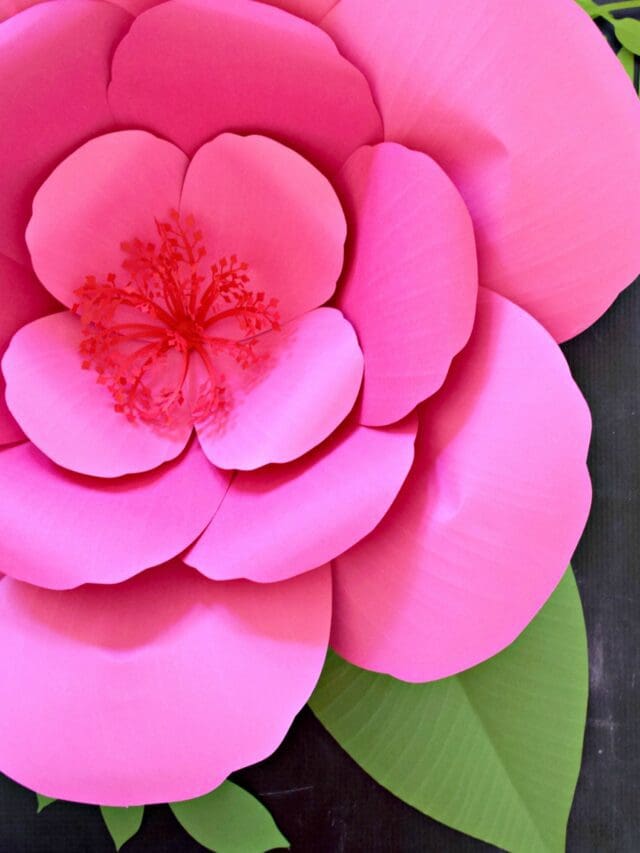 Giant Hibiscus Paper Flower Tutorial Story Abbi Kirsten Collections