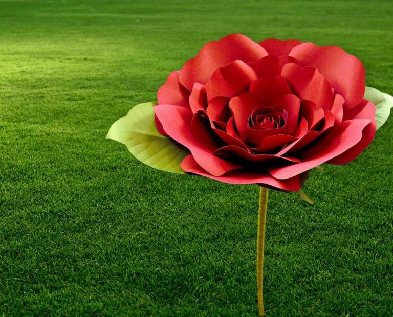 How to Make Large Paper Flowers: Easy DIY Giant Paper Flower
