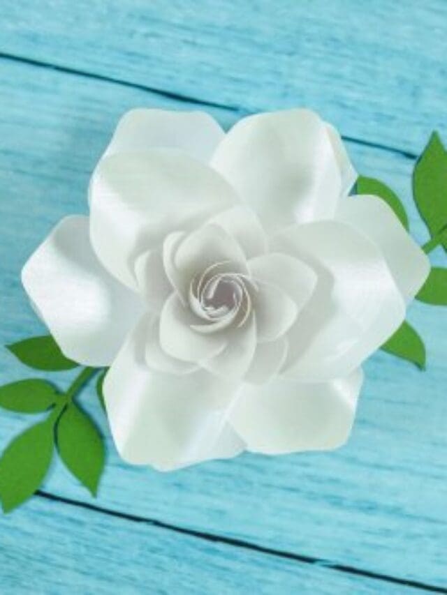 Timeless Paper Gardenia Craft Story - Abbi Kirsten Collections