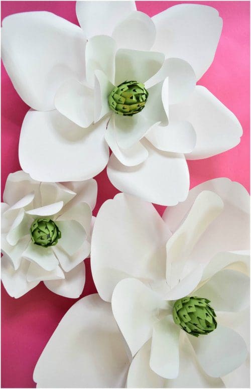 DIY Giant Paper Magnolia Flowers | Abbi Kirsten Collections