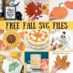 40+ FREE Fall SVG Files for Fall and Thanksgiving