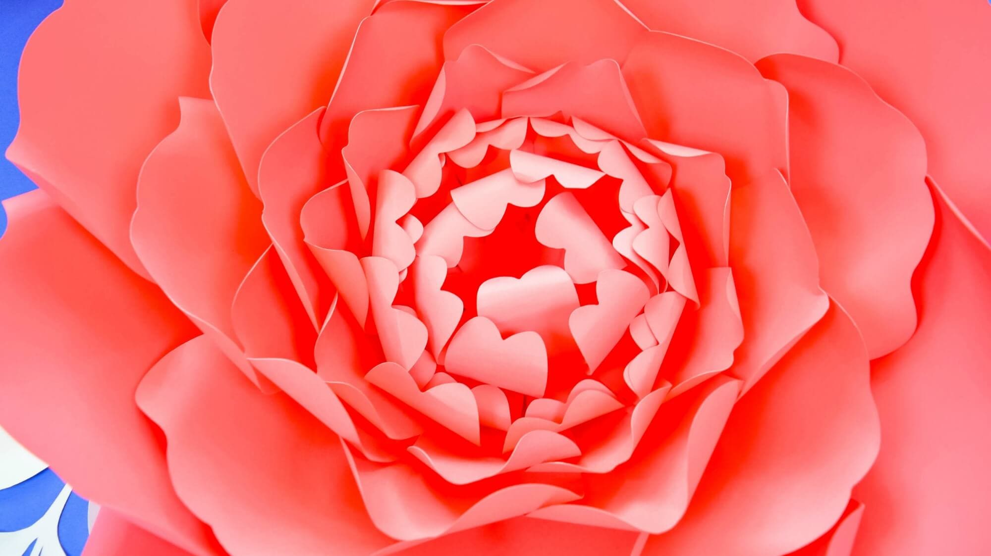 How to Make Large Paper Peonies | Abbi Kirsten Collections