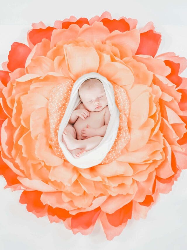 Crepe Paper Newborn Nest Craft Story - Abbi Kirsten Collections