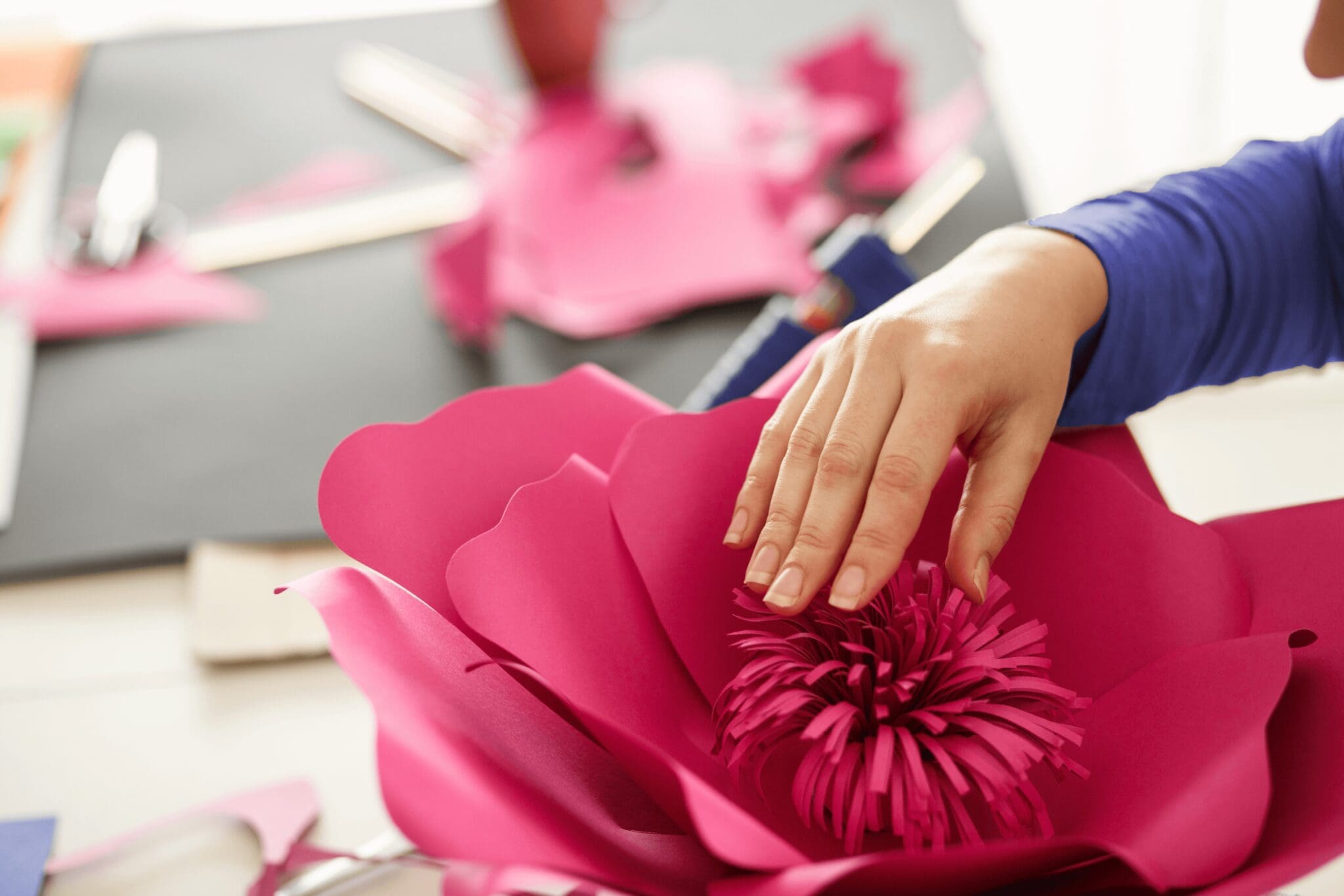 What Is The Best Printer For Cricut? Top 5 Printers for Print Then Cut