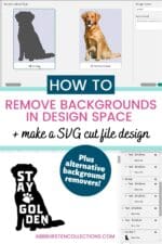 Remove Photo Background in Cricut Design Space & Other FREE Options