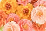 DIY Paper Marigolds for Day of the Dead and Fall Decor